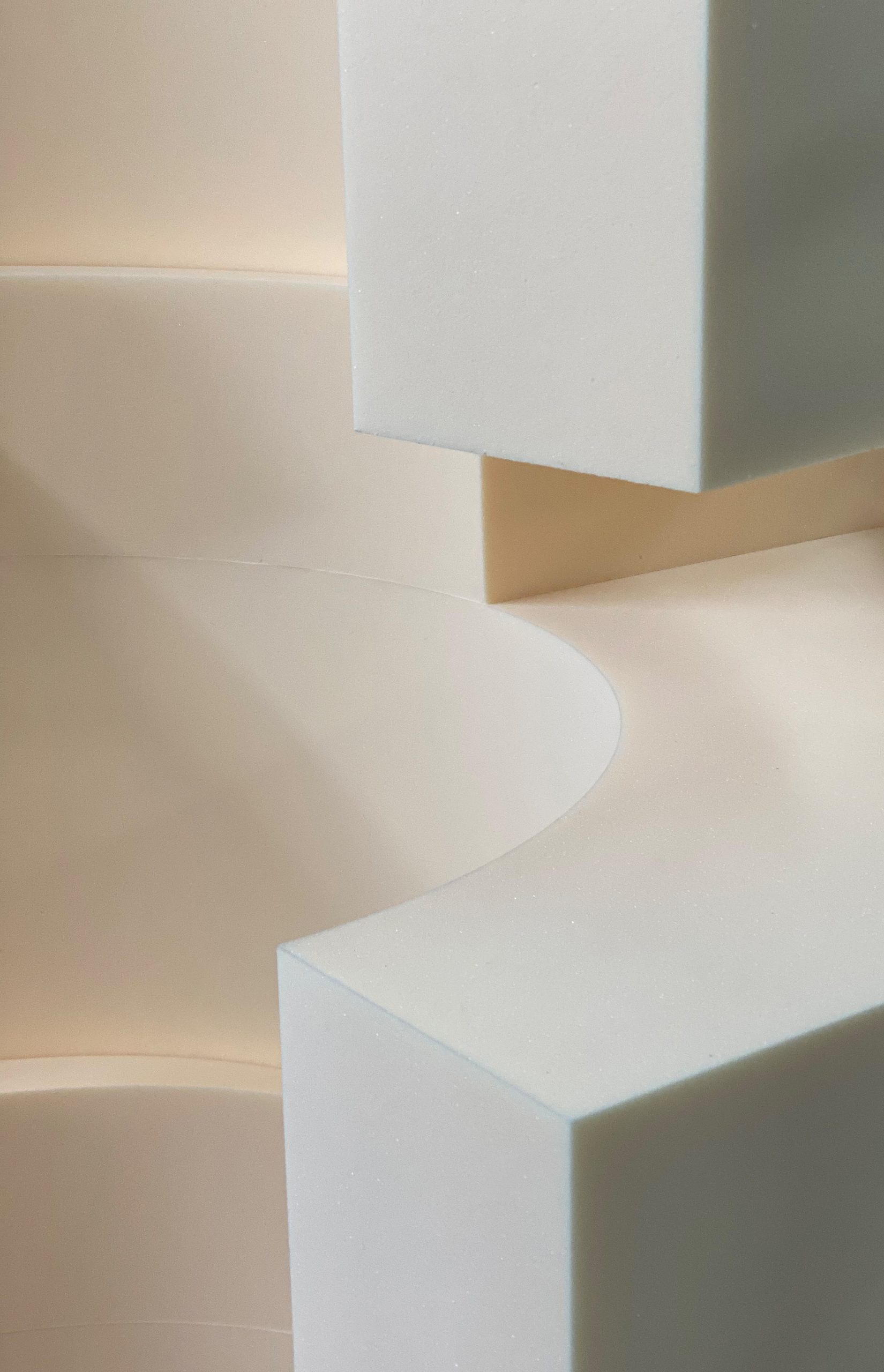 Exhibition-Bodies without organs - Under The Mango Tree